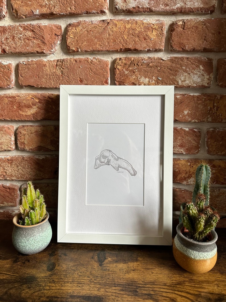 Cervical Vertebrae Anatomy Print, Anatomy Poster, Wall Art, Medical ...