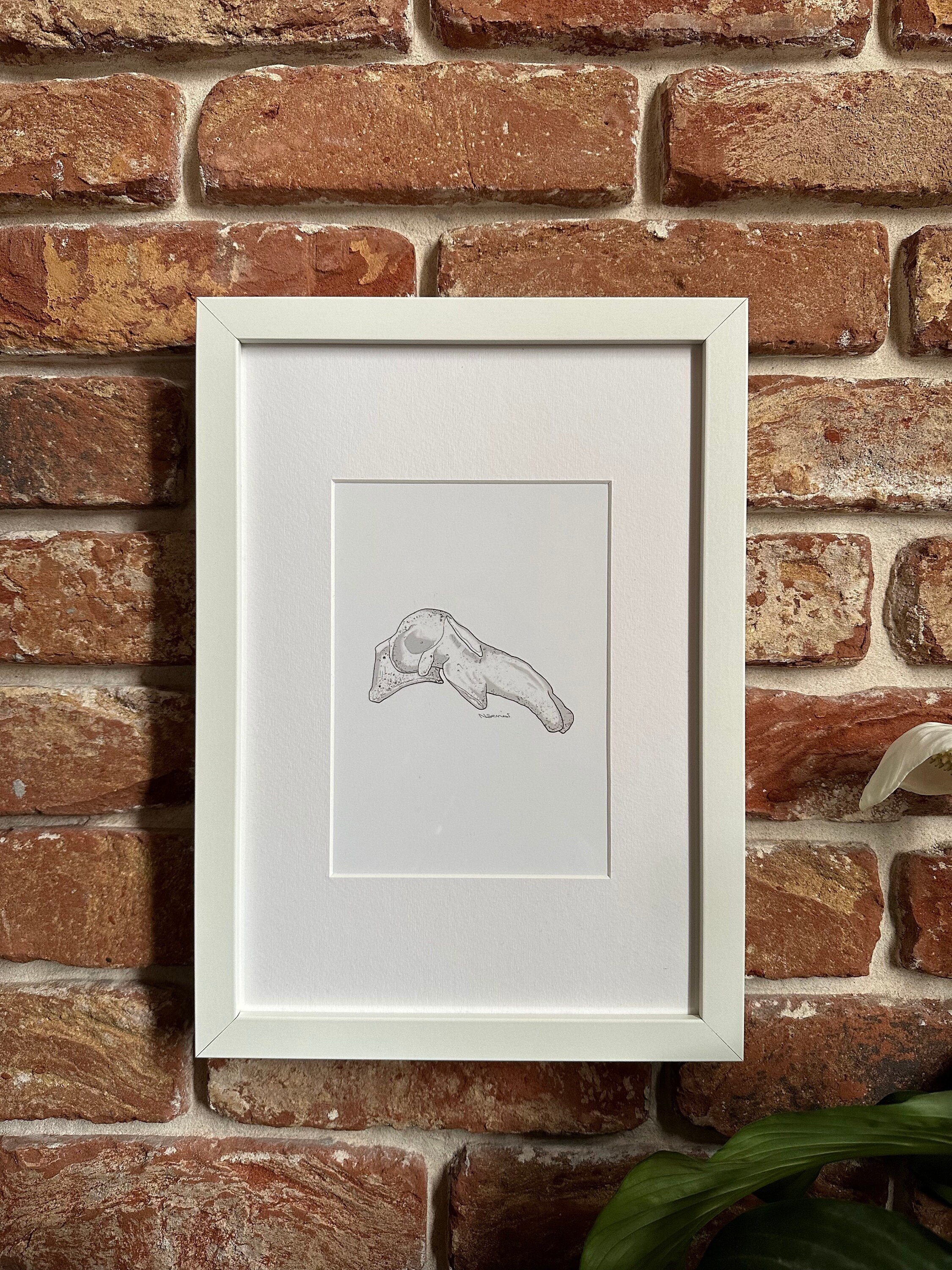 Cervical Vertebrae Anatomy Print, Anatomy Poster, Wall Art, Medical ...