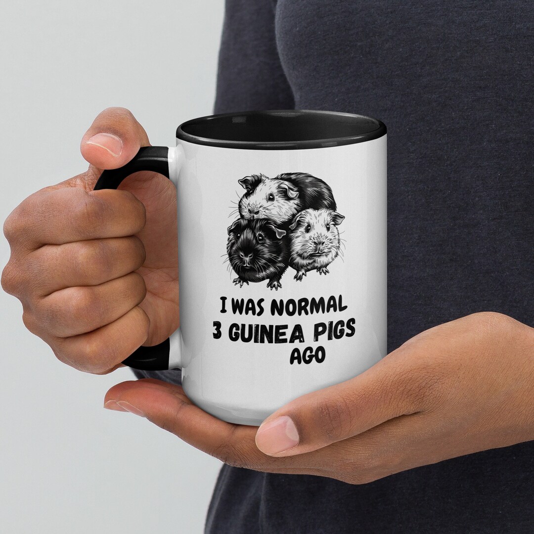 I Was Normal 3 Guinea Pigs Ago Mug, Ceramic Mug, Coffee Cup, Tea Lover ...