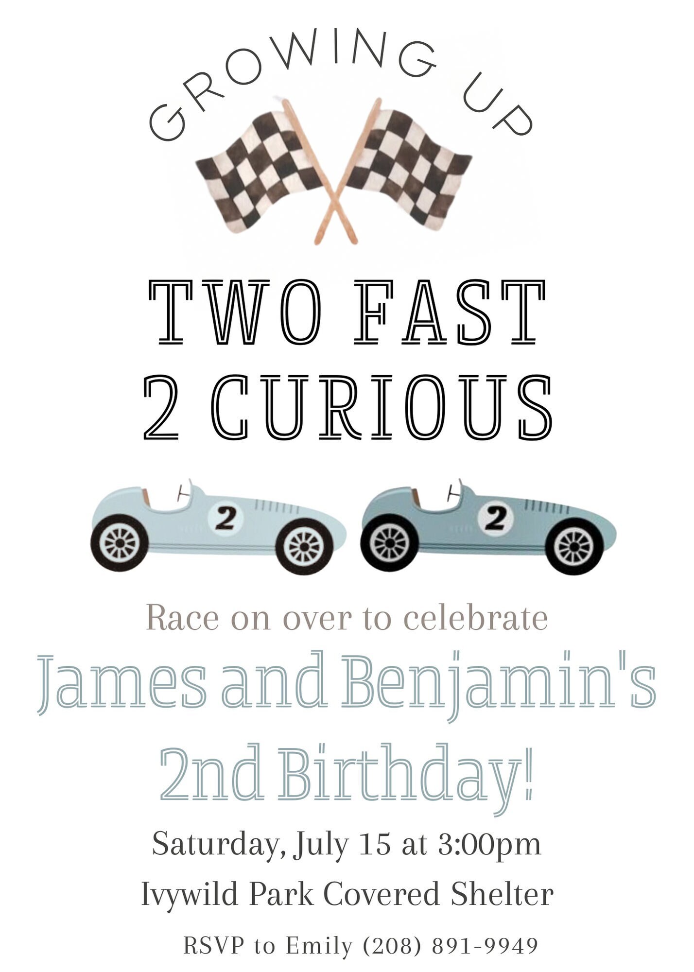 Two Fast Two Curious Birthday Invitation Template - Etsy