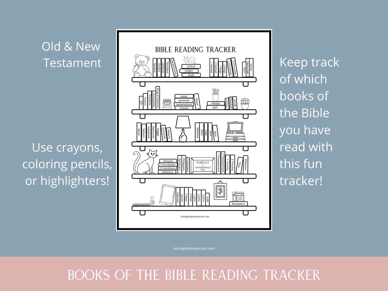 Girl's Bible Reading Tracker Books of the Bible Reading - Etsy