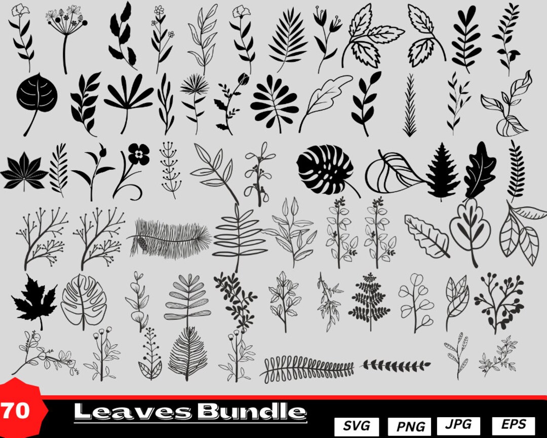 70 Hand Drawn Leaves SVG Bundle: Botanical Cut Files (digital Download ...