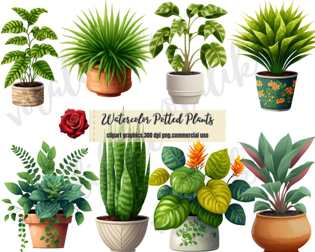 Watercolor Potted Plants Clipart: PNG Floral Bouquet (commercial Use ...