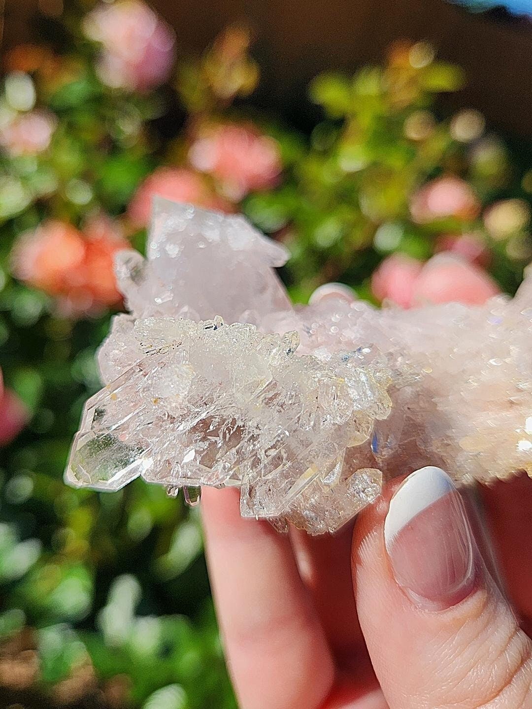 RARE AAA Pink Colombian Lemurian Cluster - Etsy