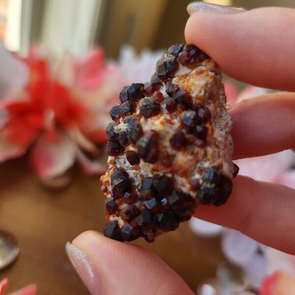 Garnet Specimens - Etsy