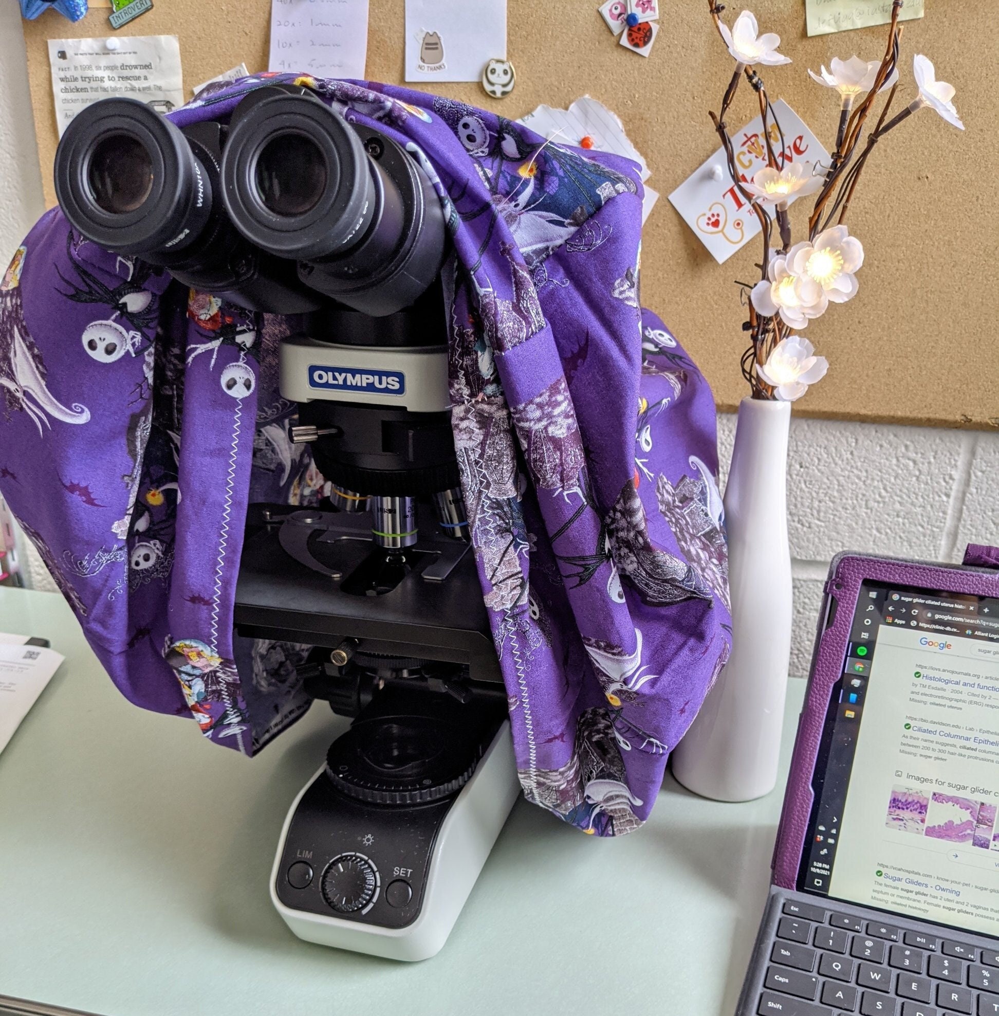 Dr. Aaron's Microscope Dust Covers - Etsy