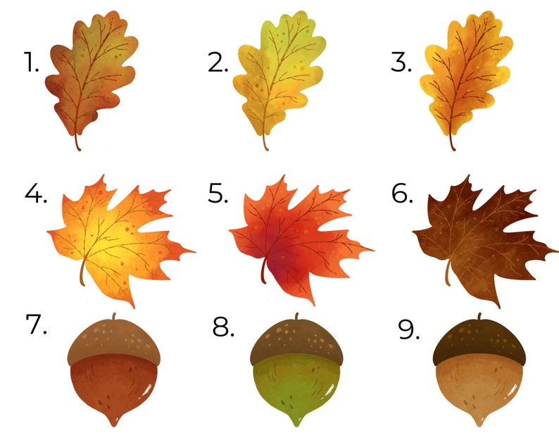 Fall Leaves Clipart - PNG - Instant Download - Fall Leaf Illustrations ...