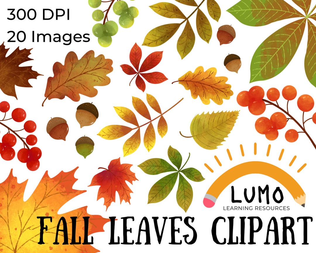 Fall Leaves Clipart - PNG - Instant Download - Fall Leaf Illustrations ...
