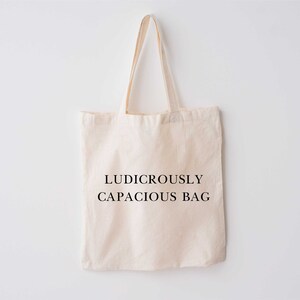 Ludicrously Capacious Bag, Succession Inspired Tote Bag, Shopping Bag ...