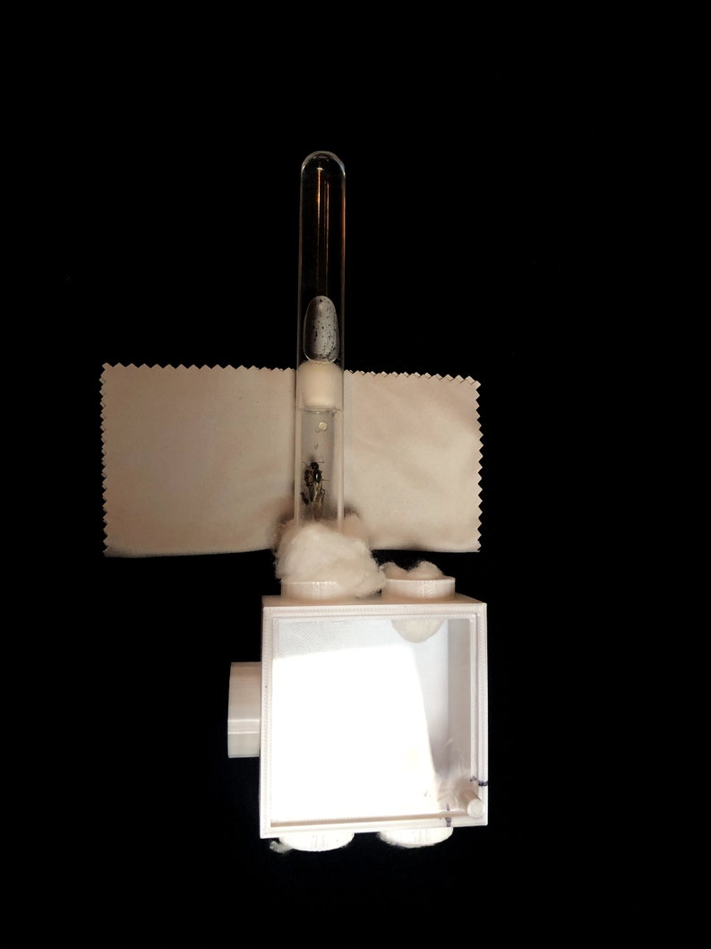 Ant Colony Test Tube Connector - Etsy