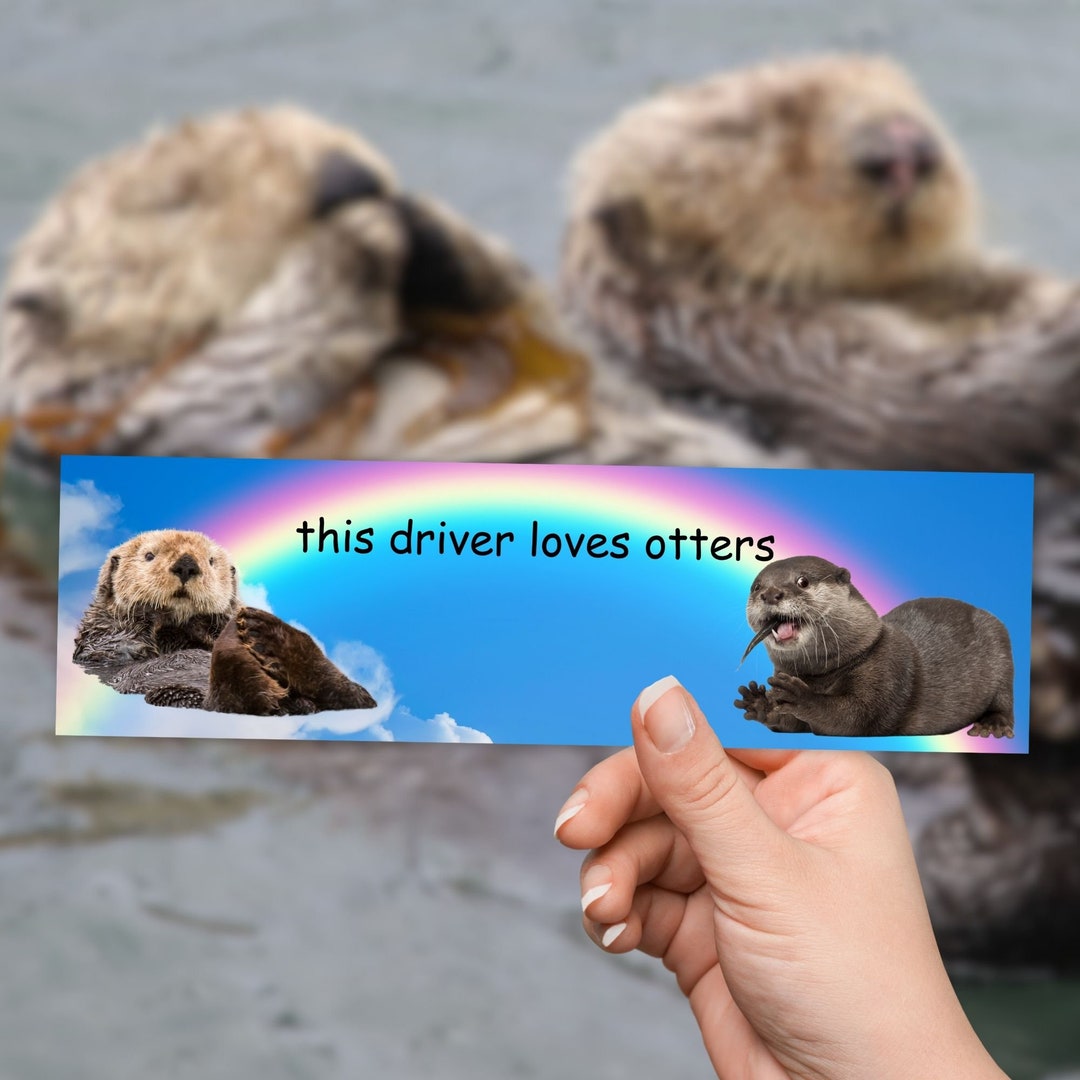 Cute Bumper Sticker - This Driver Loves Otters - Funny Rainbow Animal ...