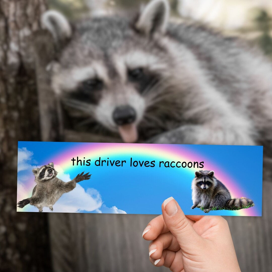 Cute Funny Raccoon Sticker This Driver Loves Raccoons Raccoon Bumper ...
