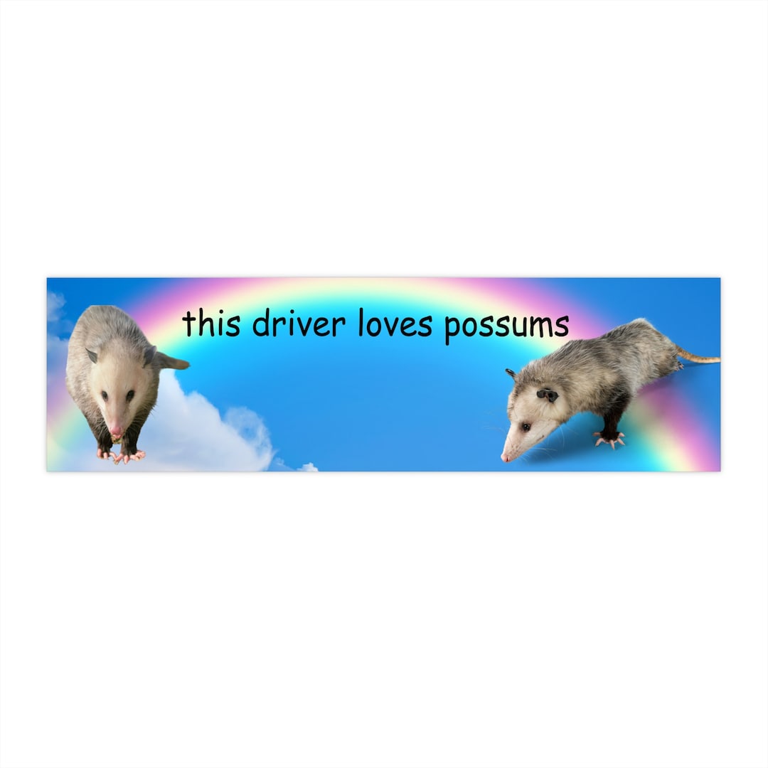 Cute Funny Possum Sticker - This Driver Loves Possums - Possum Bumper ...