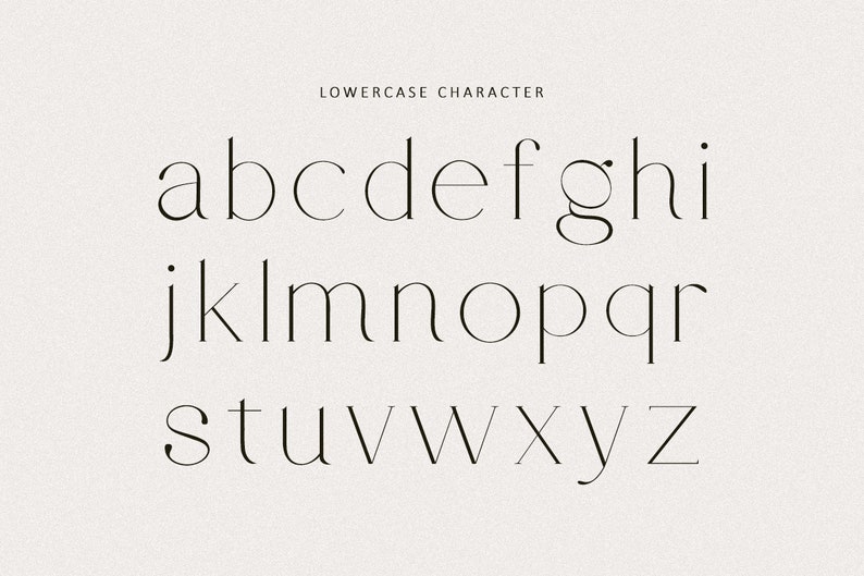 Leony Elegant Serif Font, Chic Branding (OTF/TTF) - Etsy
