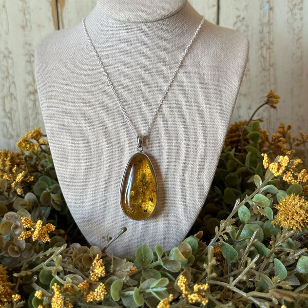 Amber With Insect - Etsy