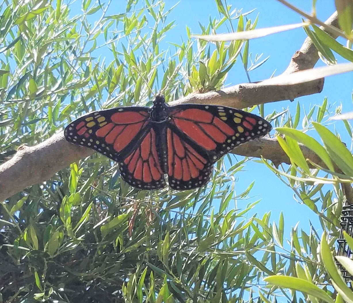 Ceramic Monarch Butterfly - Etsy