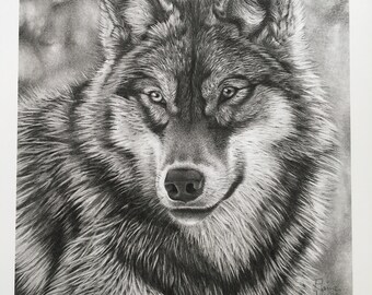Graphite Pencil - Etsy