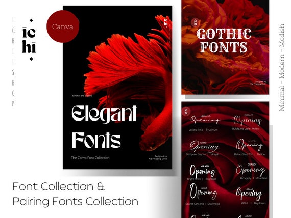 Canva Fonts Collection I Script Fonts Elegant Fonts Display - Etsy