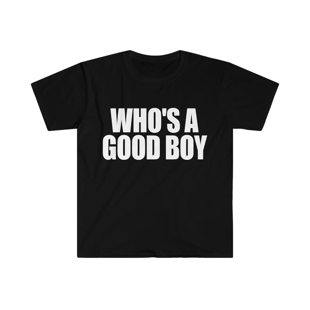 WHO'S a GOOD Boy Funny Meme Shirt - Etsy