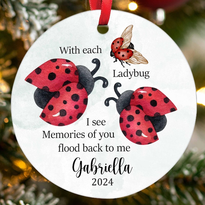 Ladybug Gifts - 60+ Gift Ideas for 2025