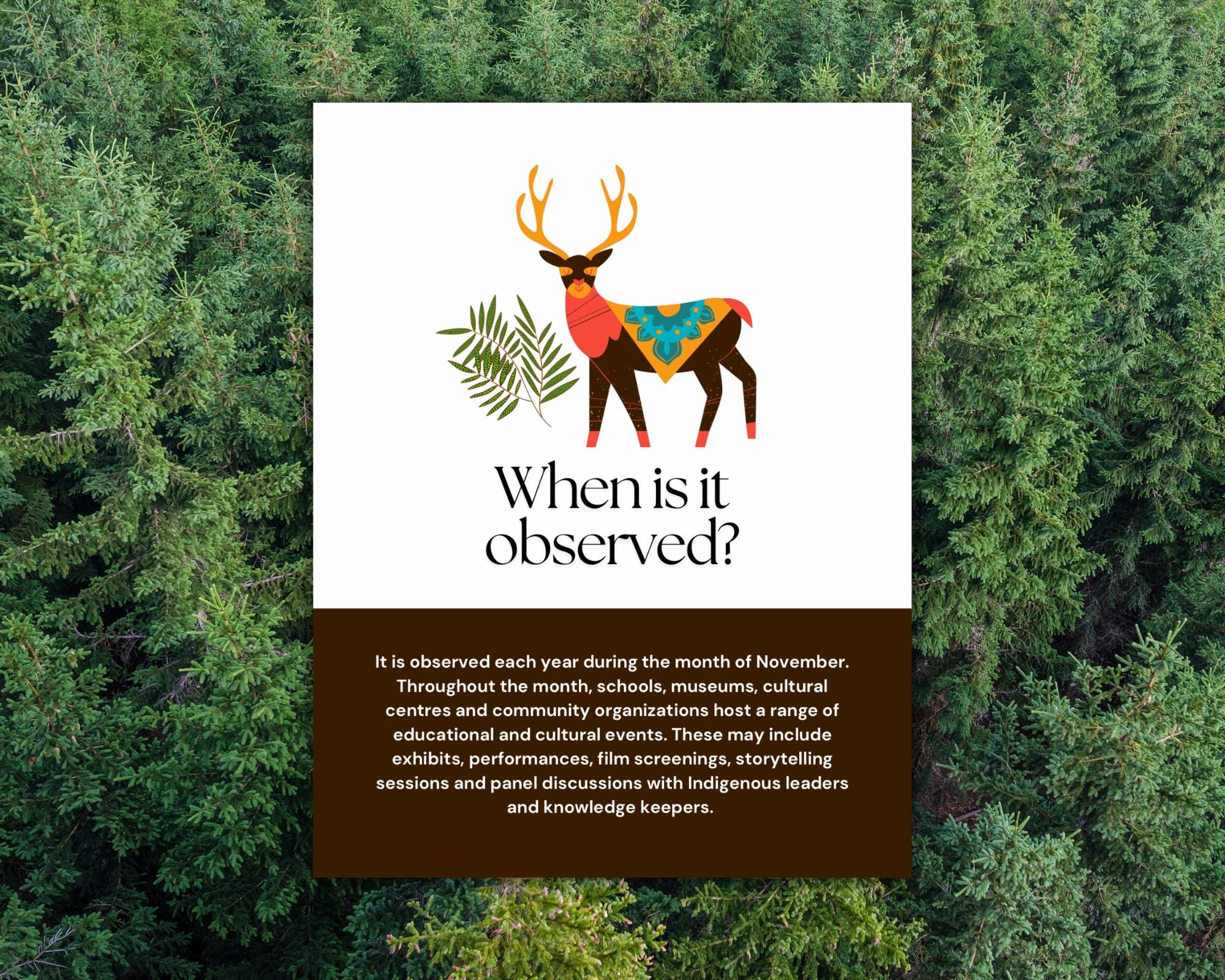 Native American Heritage Month Info Poster Files (set of 6), NAHM ...