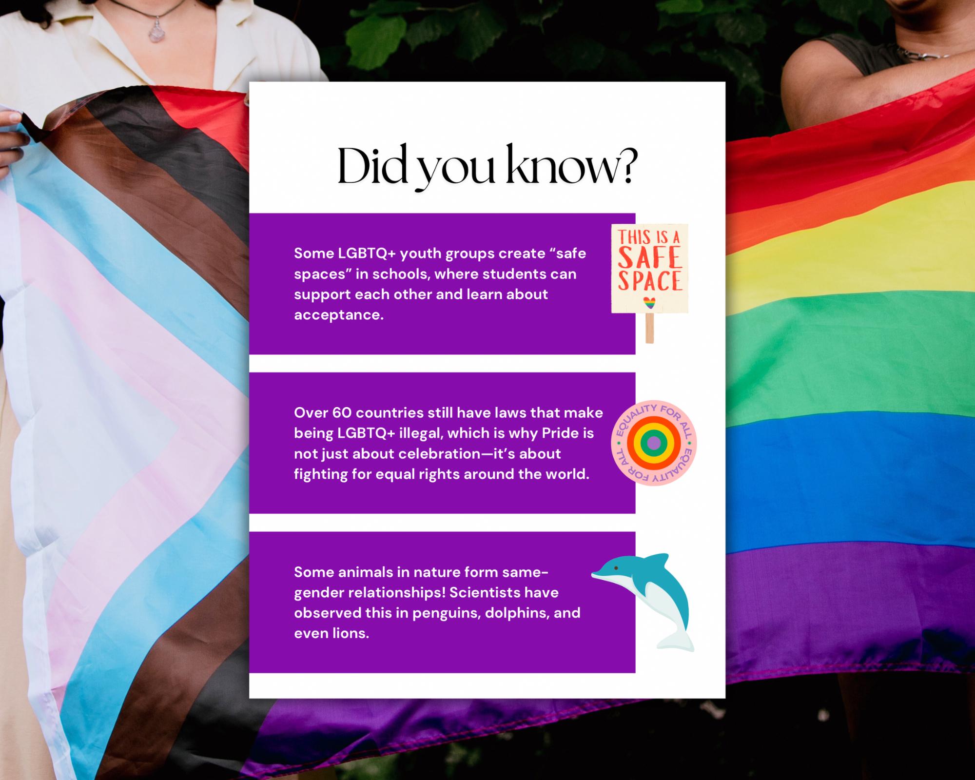 Pride Month Information Poster Files (set of 5), LGBTQ+ Classroom Wall ...
