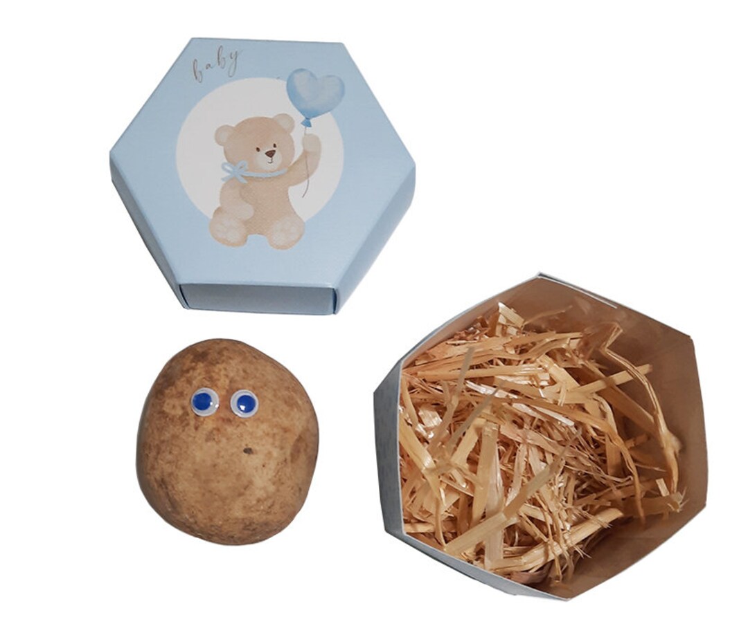Rock Buddy, Great Novelty Gift, Rock Pet, Gag Gift, Unique Gift, El ...