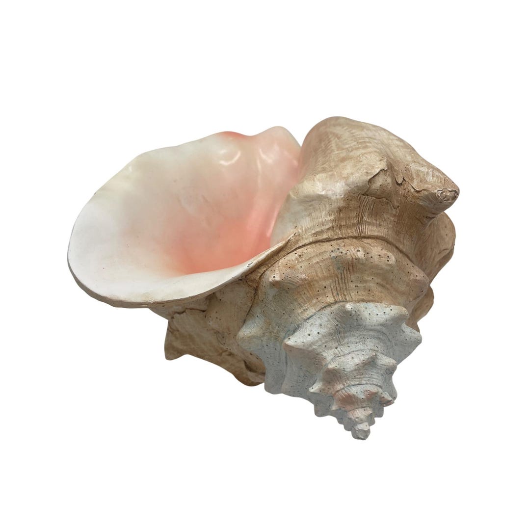 Large Faux Conch Shell With Pink & Cream Finish for Home Decor or ...