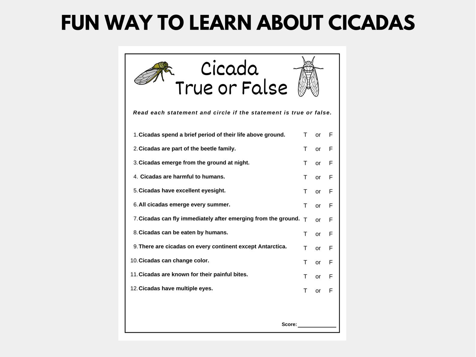 Cicada True or False, Kids Summer Activity, Cicada Quiz, Homeschool ...