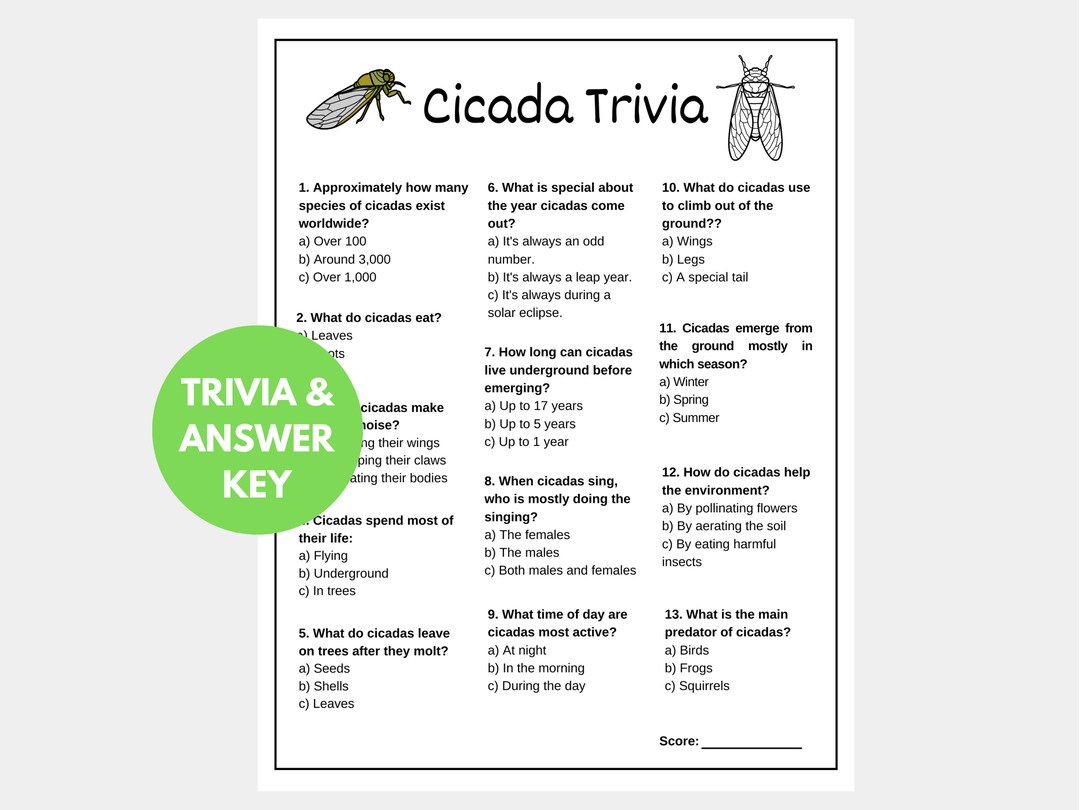 Cicada Trivia, Cicada Summer Activity, Cicada Quiz, Homeschool ...