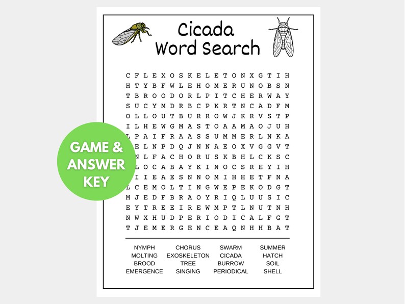Cicada Word Search, Kids Summer Activity, Cicada Quiz, Homeschool ...