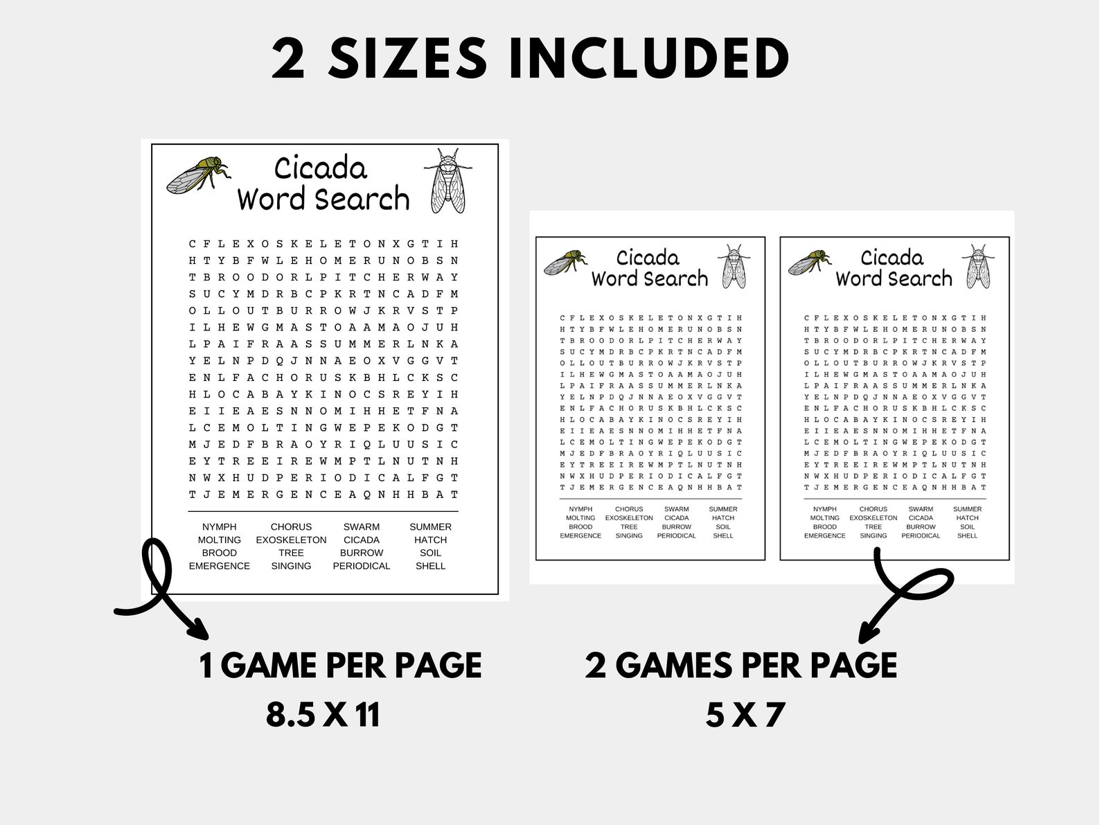 Cicada Word Search, Kids Summer Activity, Cicada Quiz, Homeschool ...