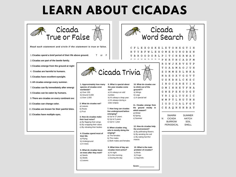 Cicada Activity Mega Bundle, Cicada Games, Cicada Trivia, Summer ...