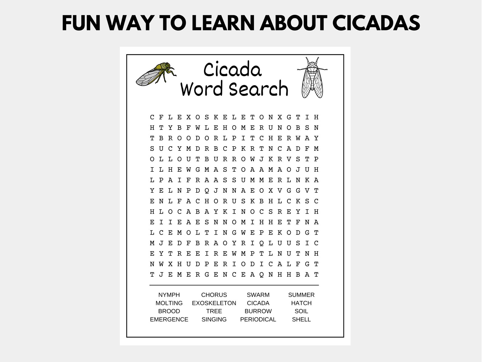 Cicada Word Search, Kids Summer Activity, Cicada Quiz, Homeschool ...