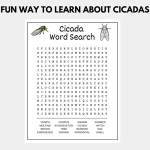 Cicada Word Search, Kids Summer Activity, Cicada Quiz, Homeschool ...