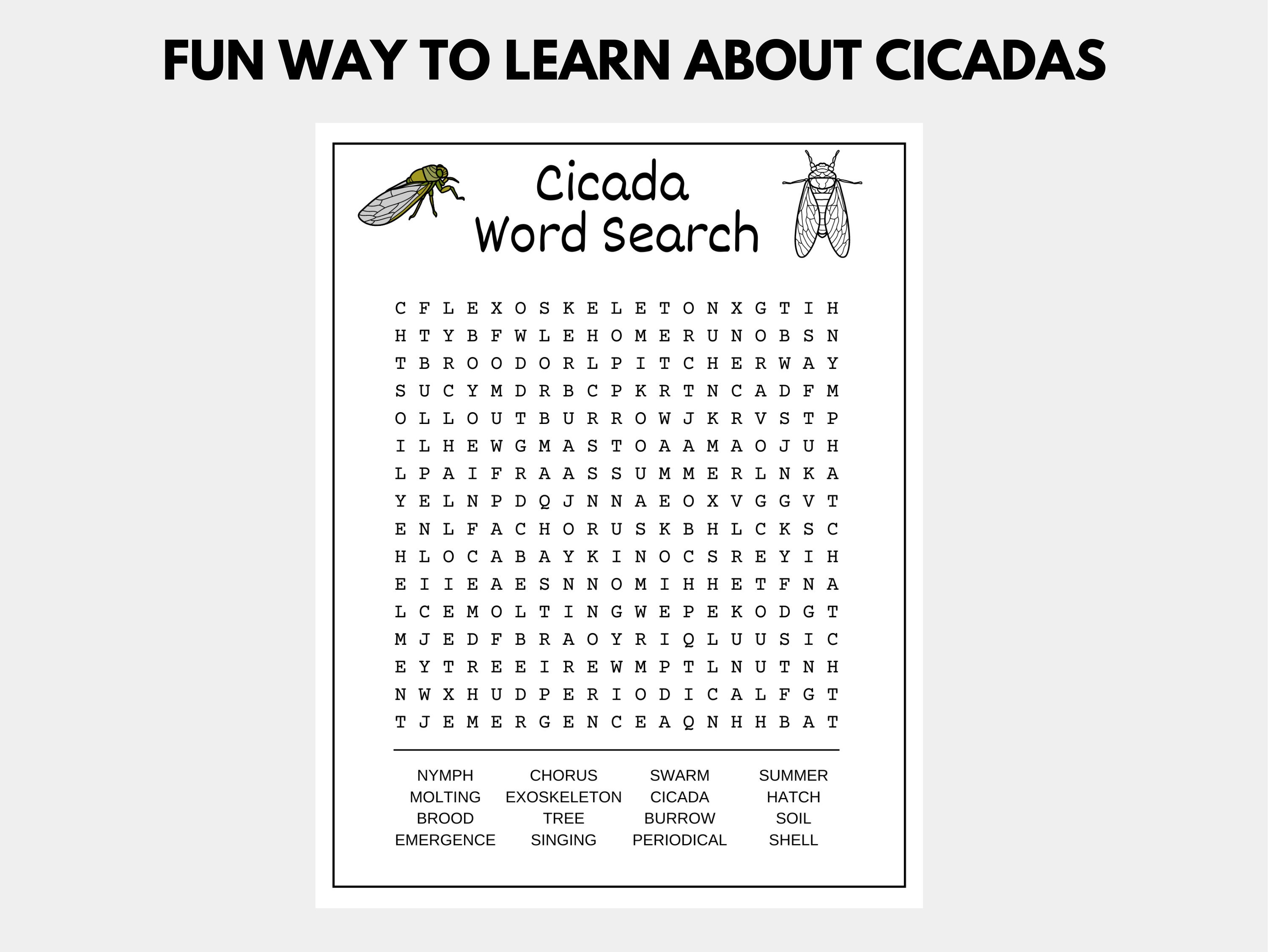 Cicada Word Search, Kids Summer Activity, Cicada Quiz, Homeschool ...