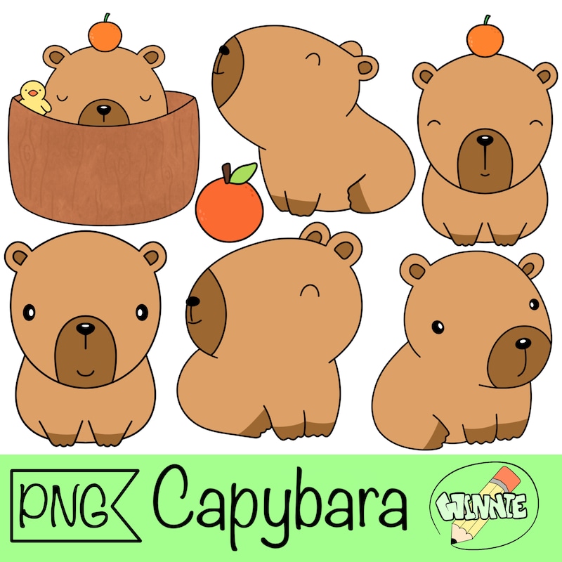 Cute Capybara Stickers - Etsy