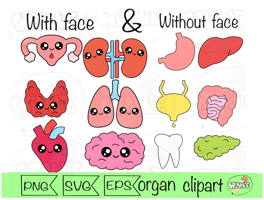 Kawaii Organ Clipart Organ Svg Printable Body Organs Clip Art Digital ...