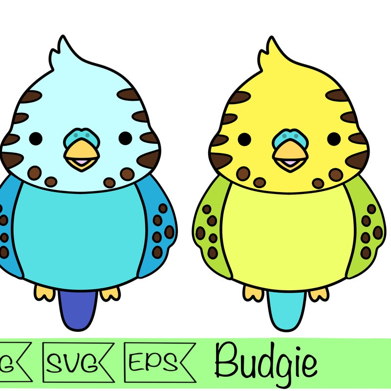 Cartoon Parakeet Clipart - Etsy