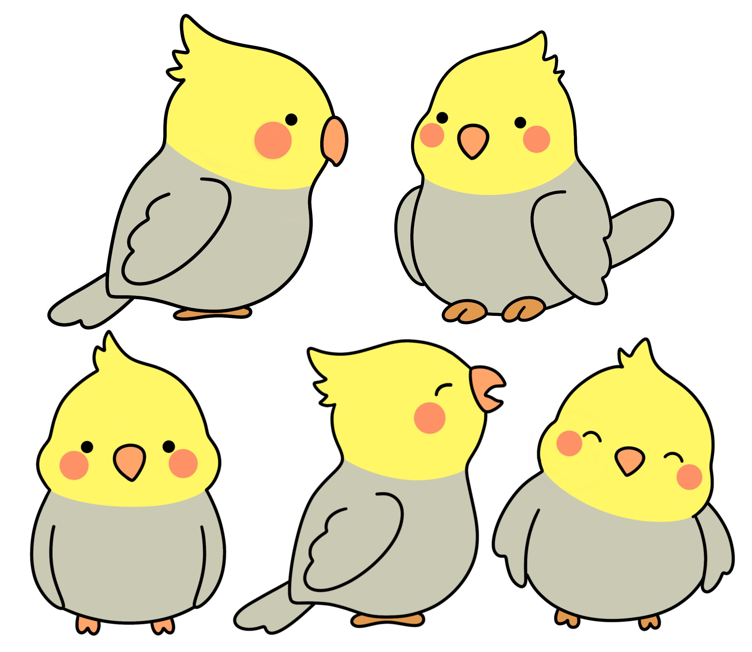 Cockatiel Svg Clipart Cute Bird Vector Cartoon Cockatiel - Etsy Canada