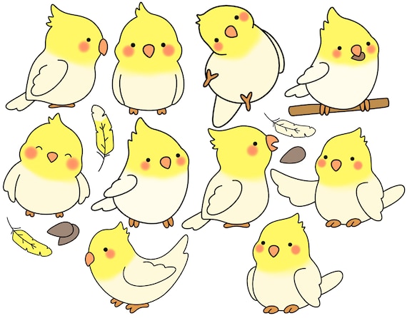 Cute Cockatiel Wallpaper
