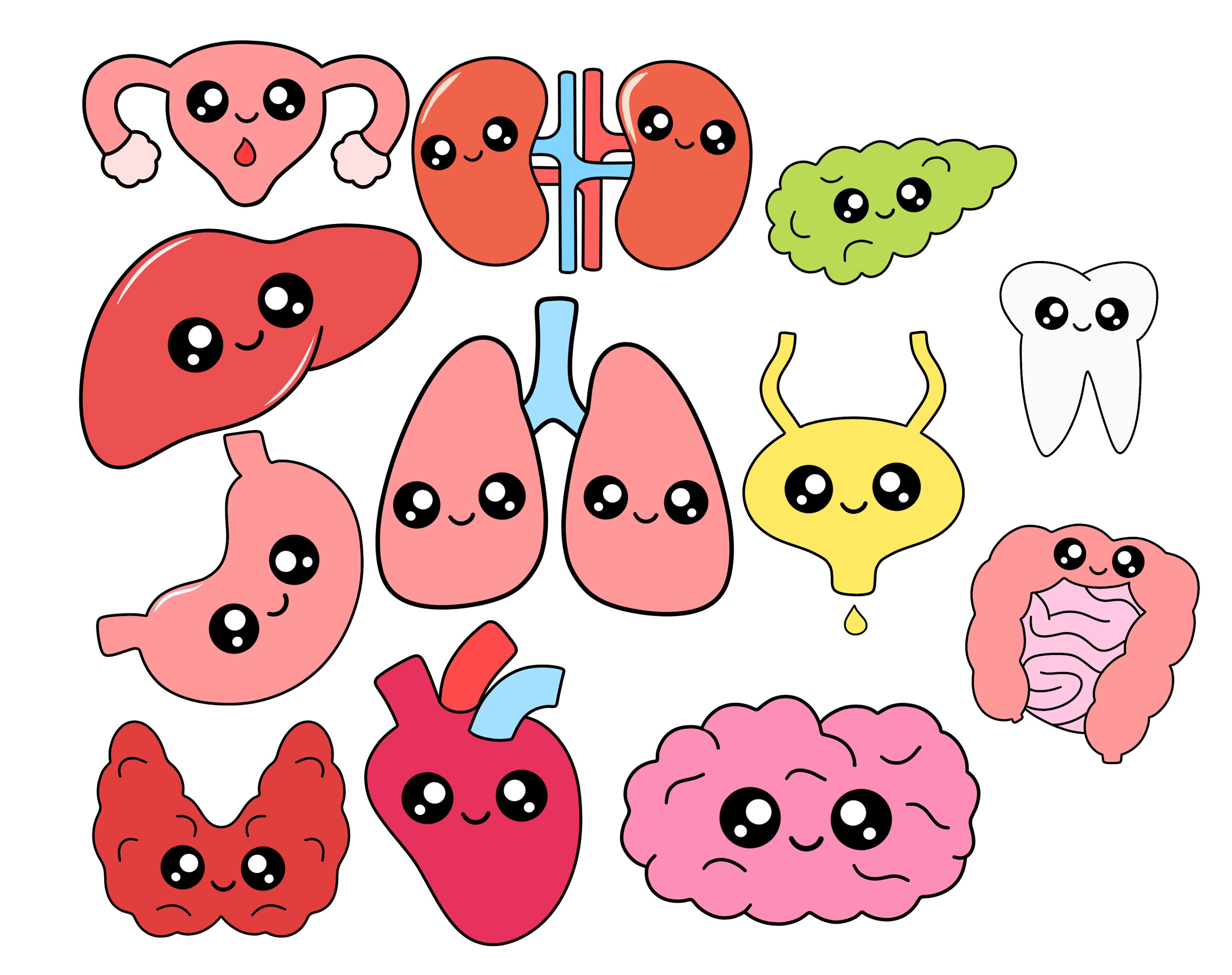 Kawaii Organ Clipart Organ Svg Printable Body Organs Clip Art - Etsy Canada