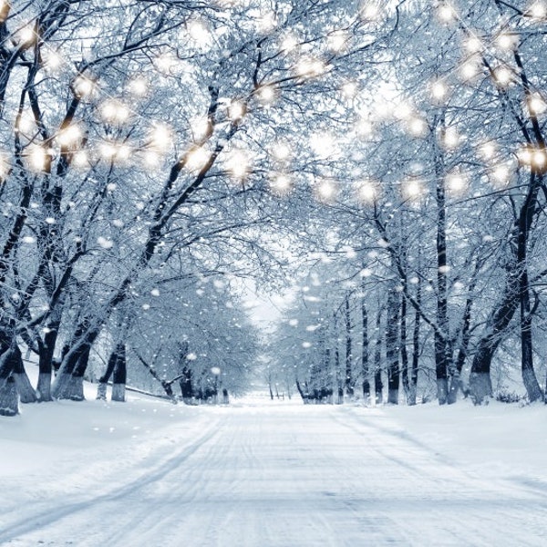 Winter Wonderland Backdrop - Etsy