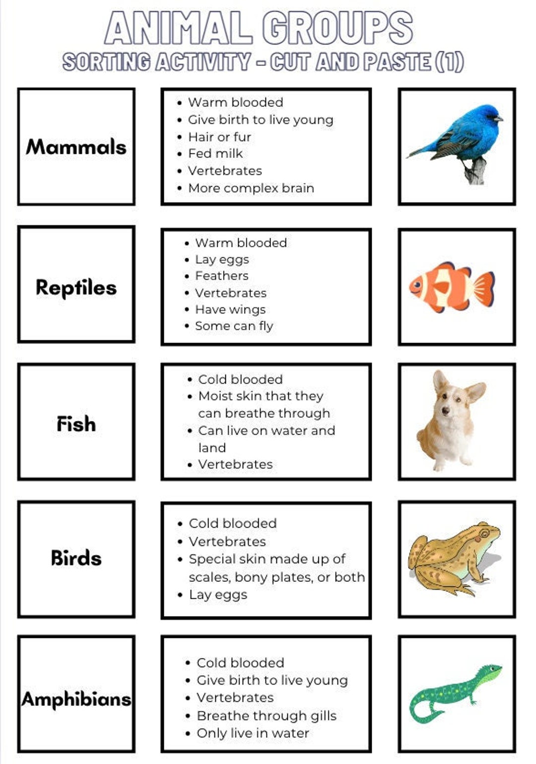 Animal Groups Poster & Worksheet Bundle - Etsy