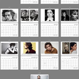 Timothee Chalamet 2025 Wall Calendar Ver.1 With His Quotes and ...