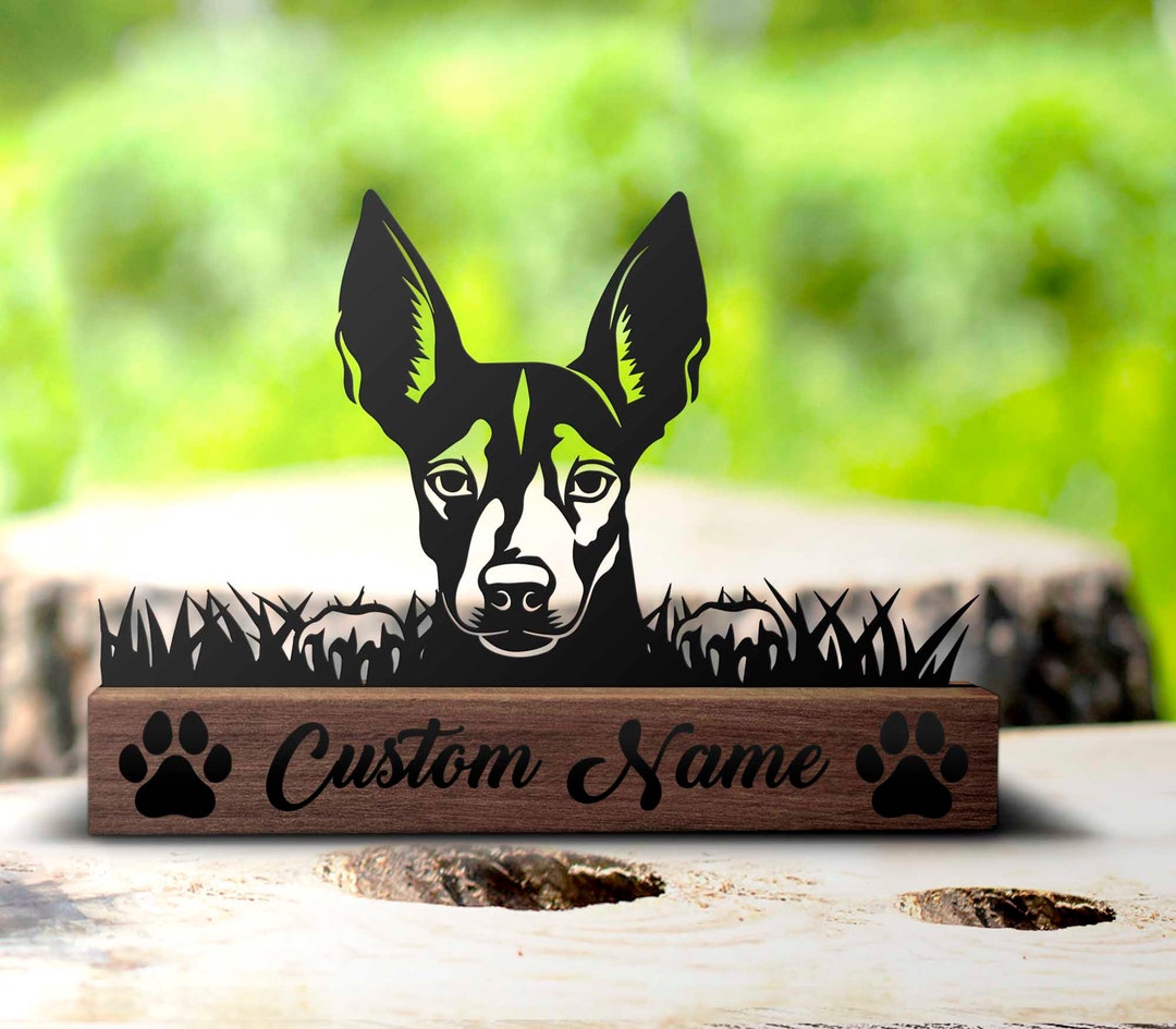 Custom Xoloitzcuintli Dog Desk Name Plate Wedge Personalized Peeking ...