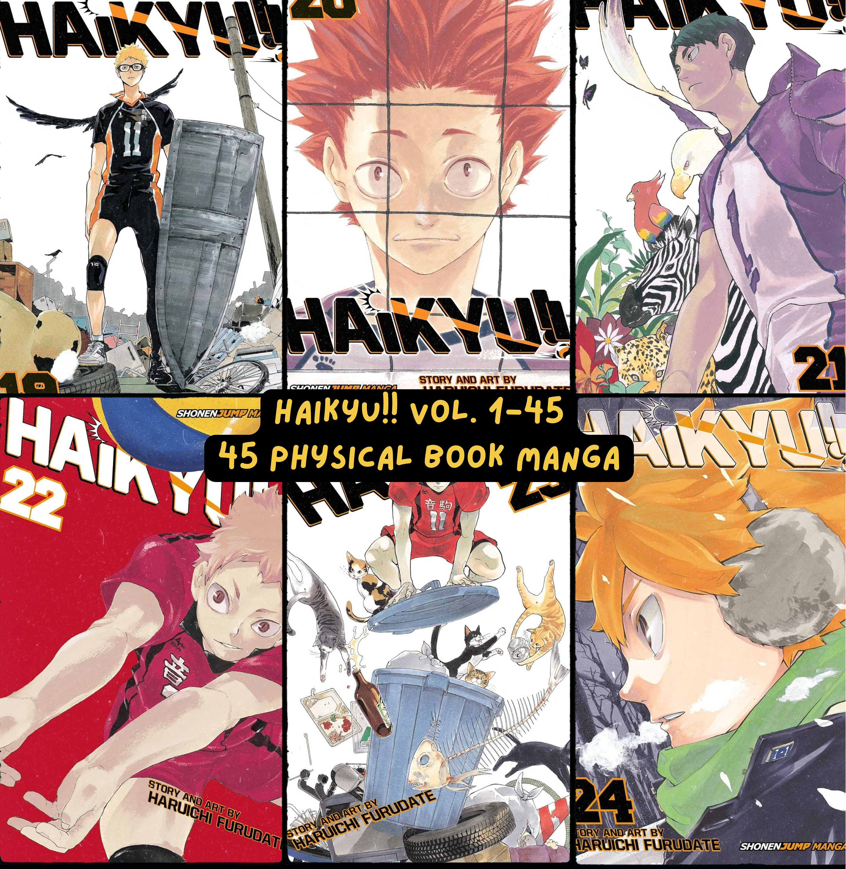 Complete Manga Set HAIKYU!! Full Manga Set Volumes 1-45 (ended ...