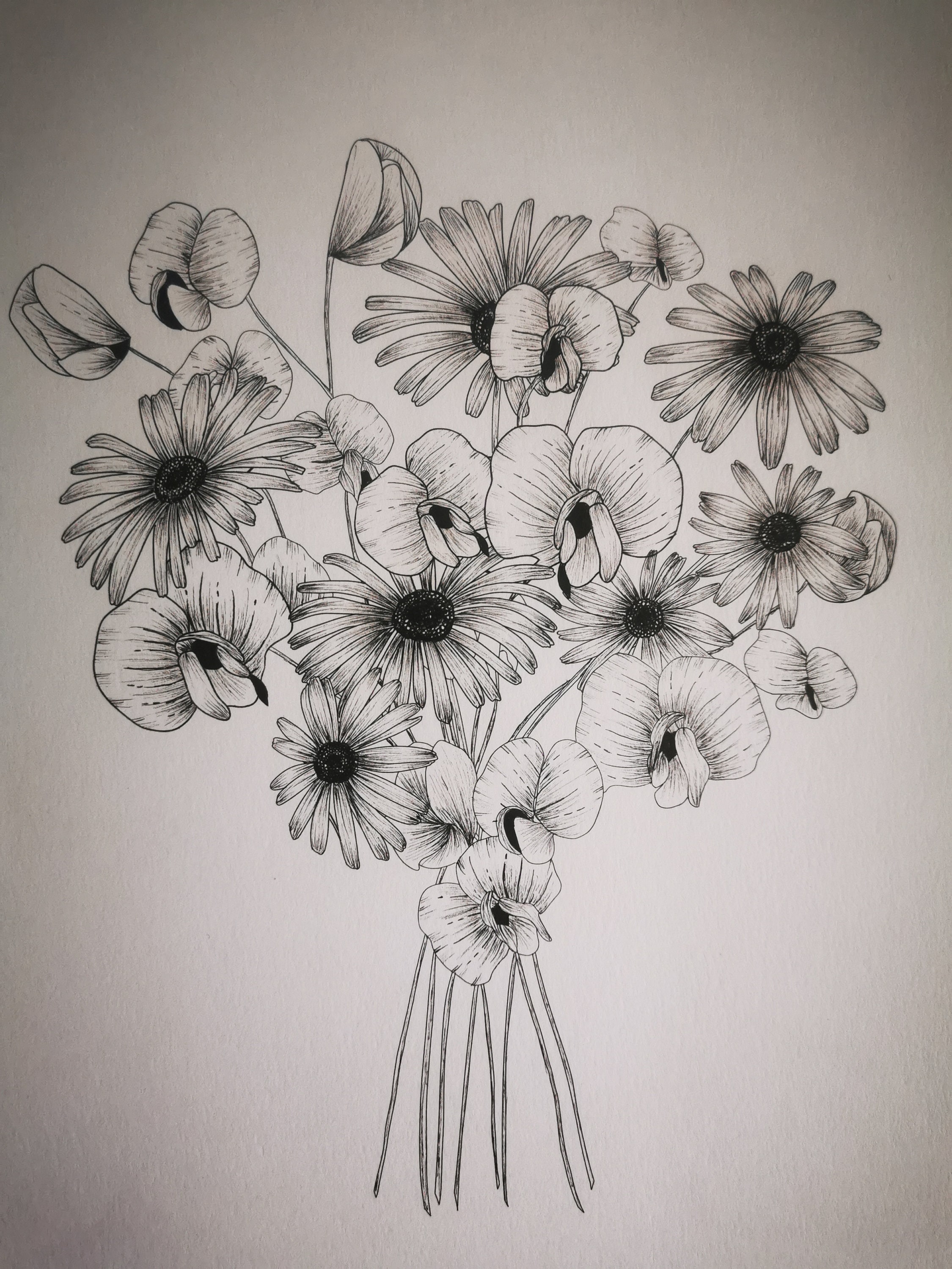 Illustration of APRIL Birth Flowers - Daisies and Sweet Peas - Etsy