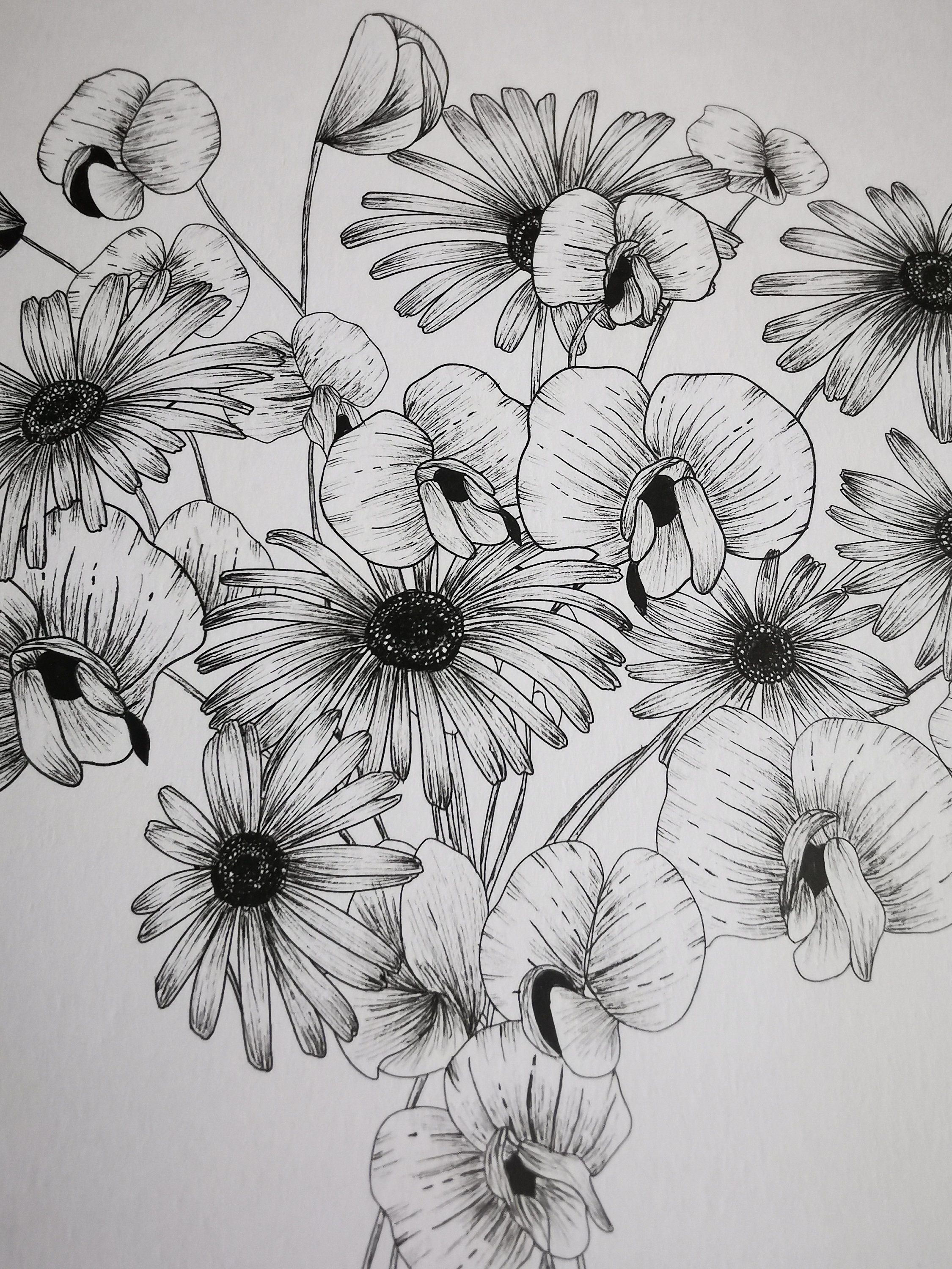 Illustration of APRIL Birth Flowers - Daisies and Sweet Peas - Etsy