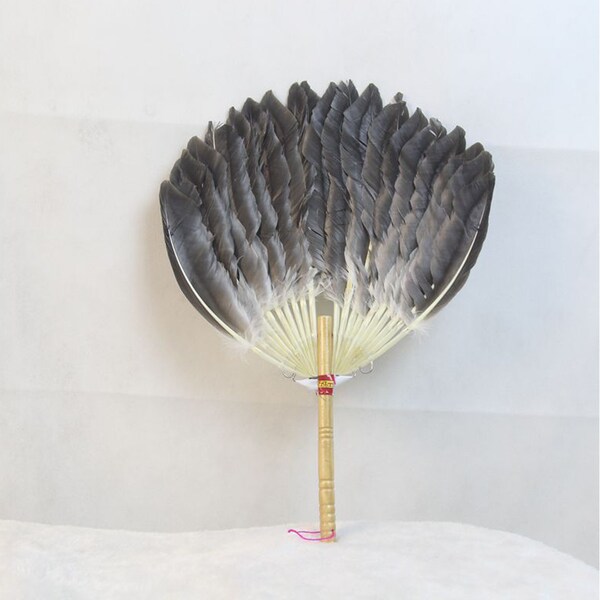 Feather Fan - Etsy